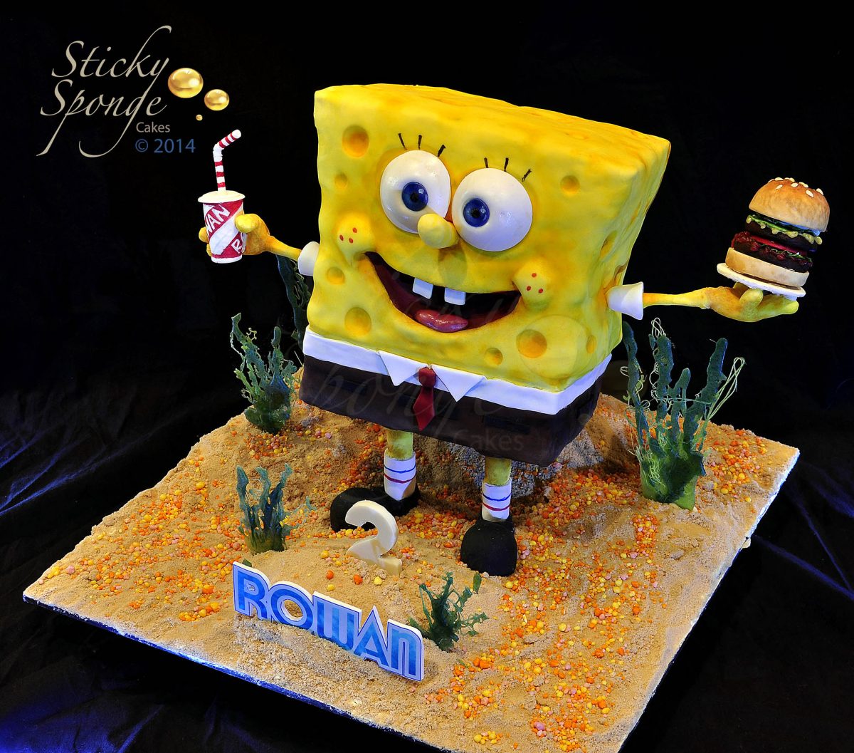 Novelty Gallery – Sticky Sponge